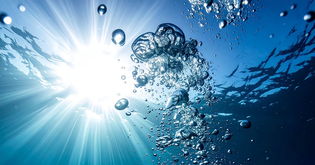 Updated surface ocean CO2 products available online - International ...